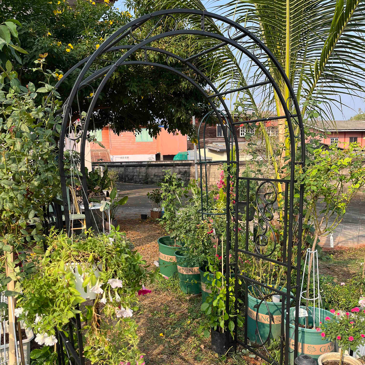 Metal Garden Arch Trellis - Arbor Pergola, Supports Climbing Plants, V ...